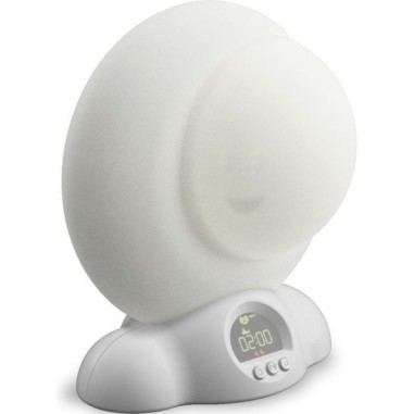 Ford Raptor Accessories Cool Carbon Fiber Look Gear Shift Panel Cover ...